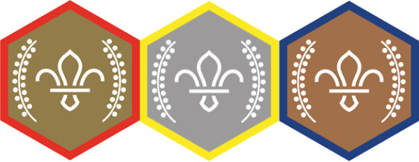 Top Awards Achieved! | 2nd Whitton Scouts