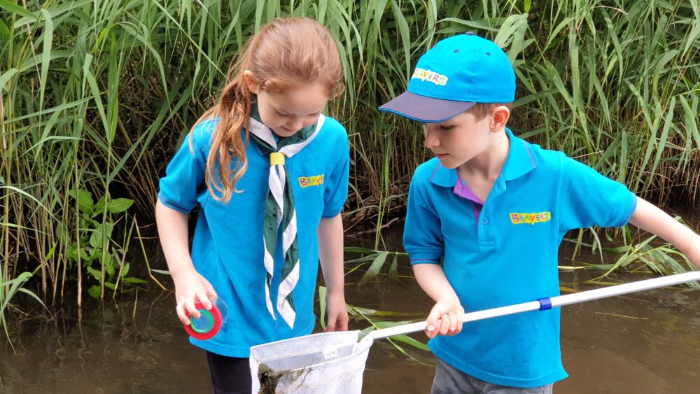 River Dipping at Crane Park Island | 2nd Whitton Scouts